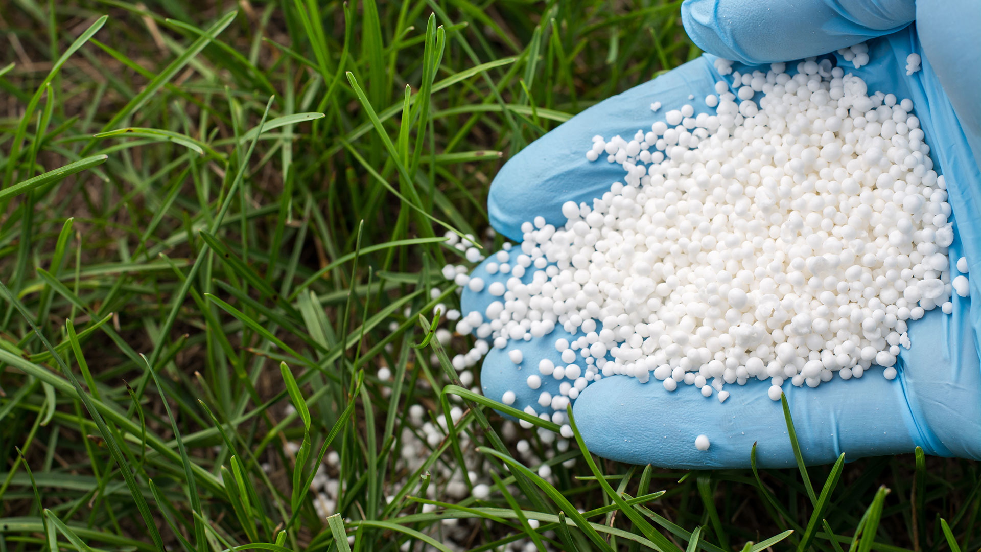 Fertilization Services in the Greater Memphis, TN Area | Picture ...