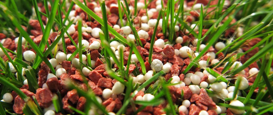 Be Careful When Fertilizing Your Lawn - Too Much of a Good Thing Can Be ...