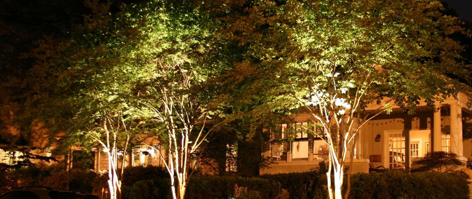 Landscape Lighting Can Enhance the Beauty & Safety of Your Outdoor ...